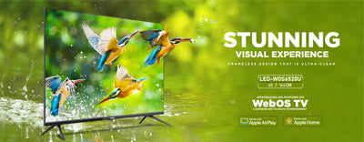 Intex | LED TV, Speakers, Smartwatch, Mobile Accessories – Intex ...