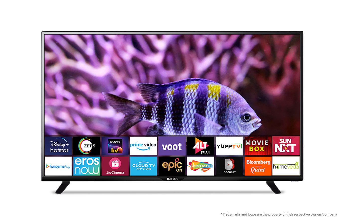 Smart LED TV Online | Cheapest Smart TV | Low Price of Led TV | Intex ...